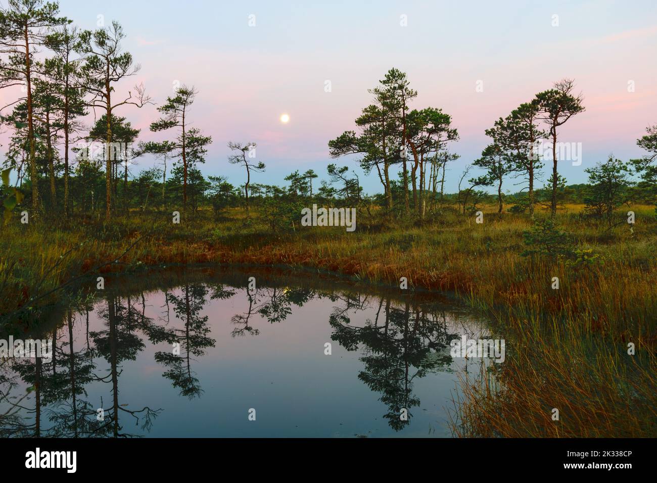 a wonderful sunrise picture with a gorgeous sky, a marsh at sunrise, a ...