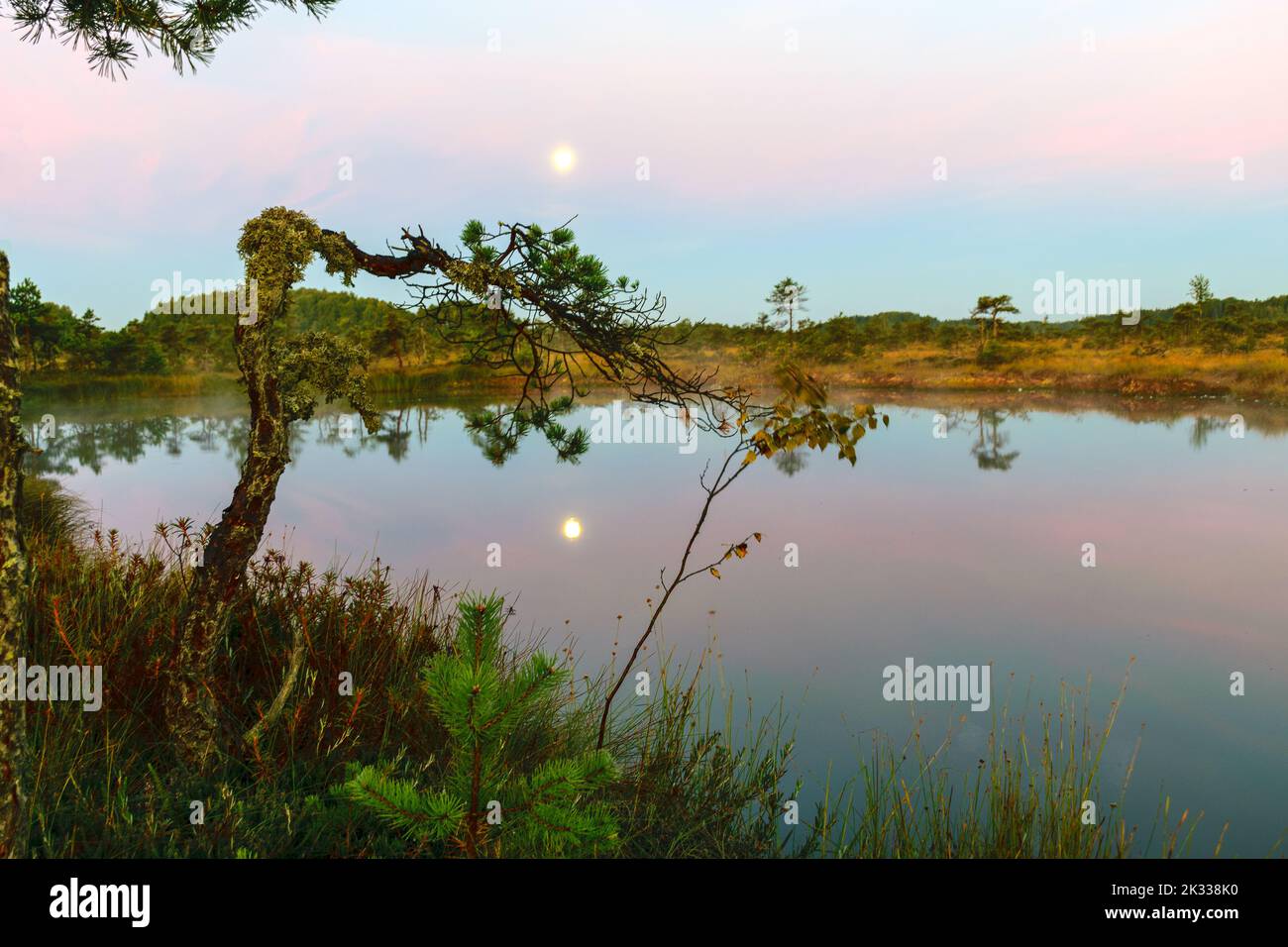 a wonderful sunrise picture with a gorgeous sky, a marsh at sunrise, a ...