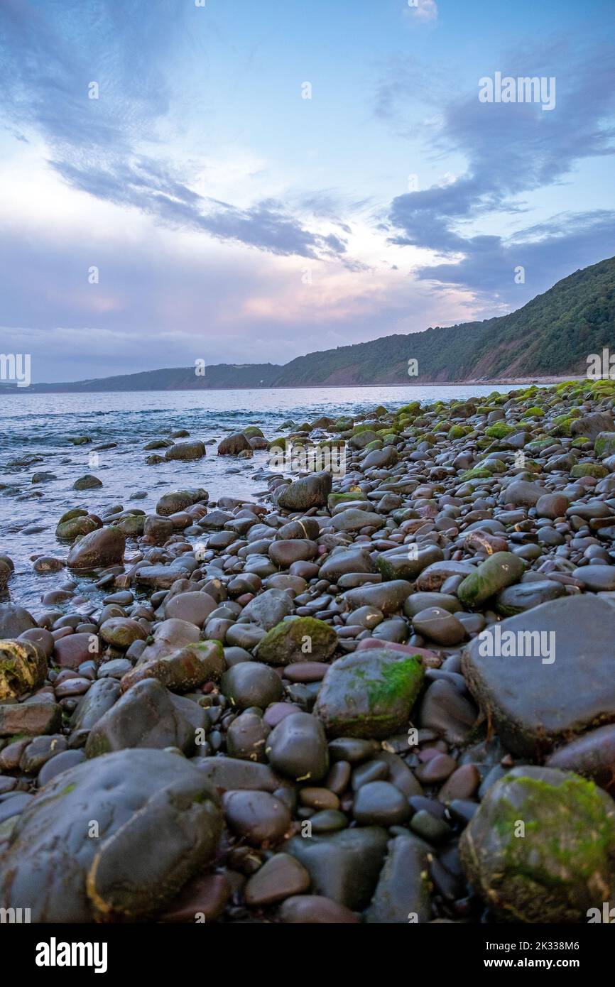 Stoney shore at Clovelly Stock Photo - Alamy