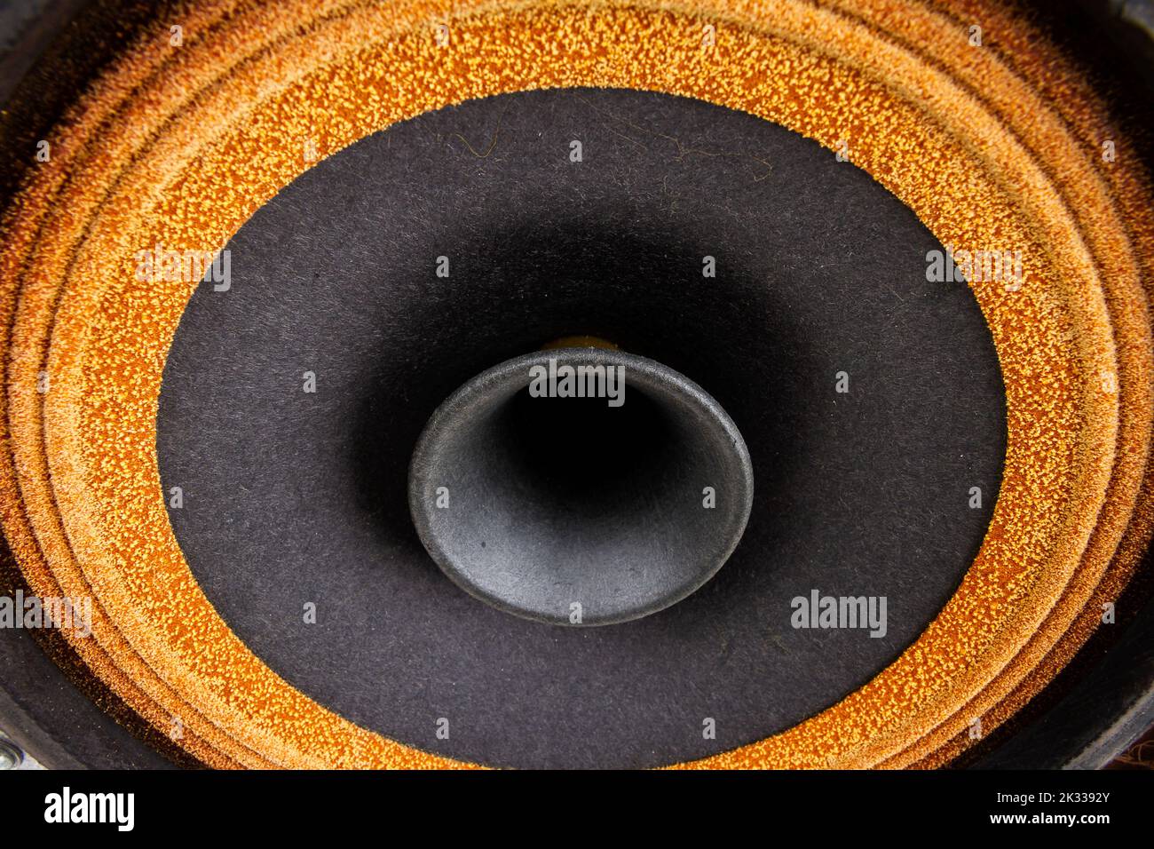 Close up of old full range driver in vintage speaker Stock Photo - Alamy