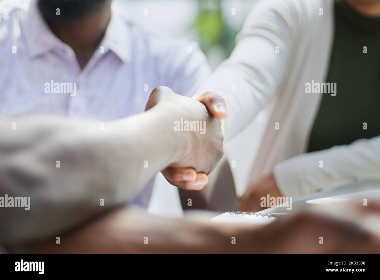 business people handshaking at modern light office Stock Photo - Alamy