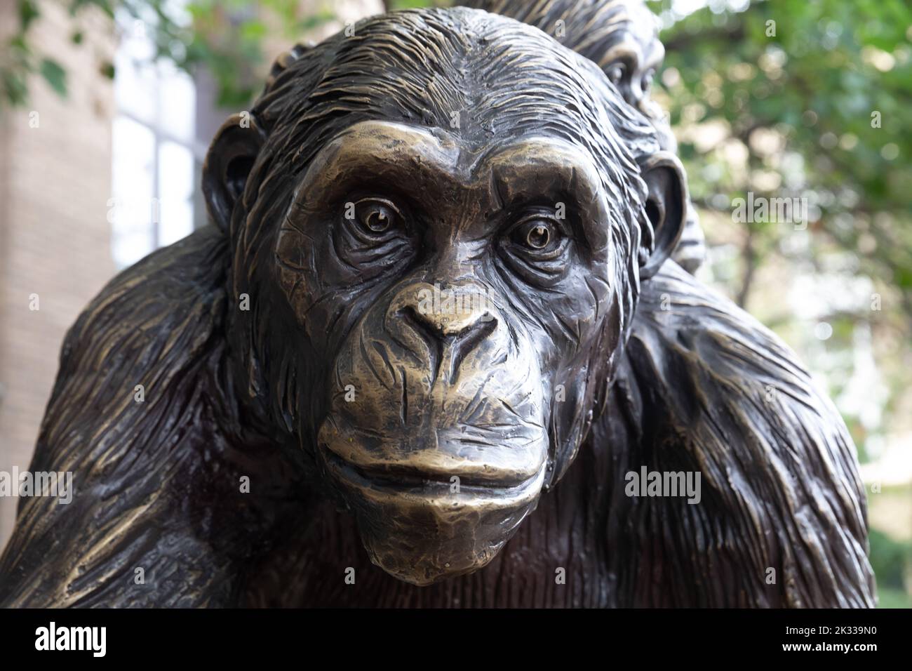 Chimps are Family outdoor exhibition in London Bridge City, London ...