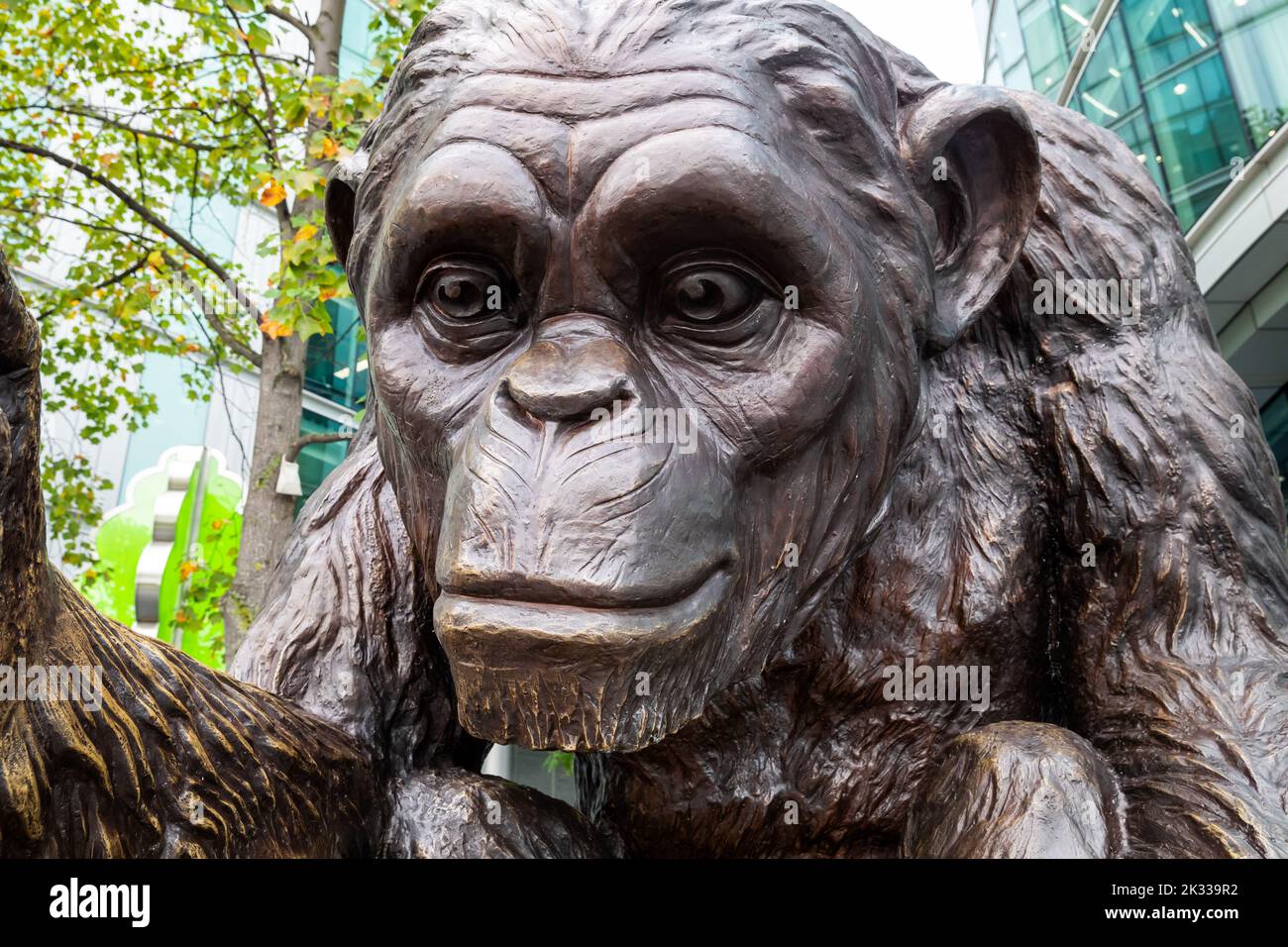 Chimps are Family outdoor exhibition in London Bridge City, London ...