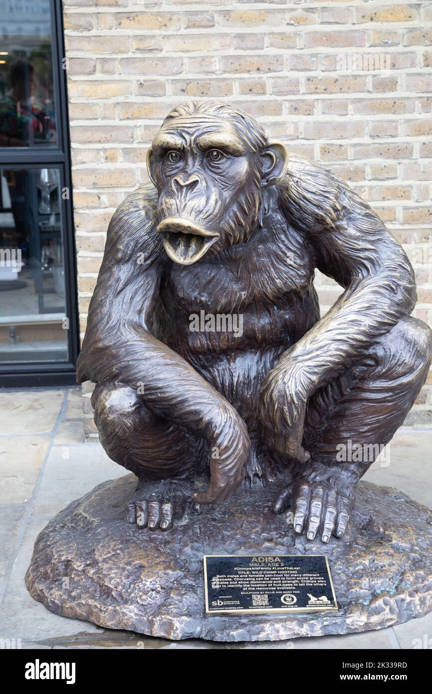Chimps are Family outdoor exhibition in London Bridge City, London ...