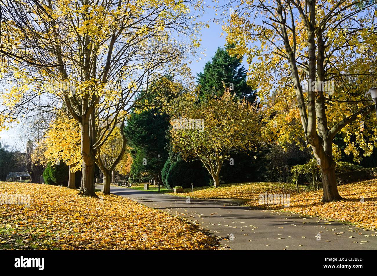 Tarmac road through deciduous hi-res stock photography and images - Alamy