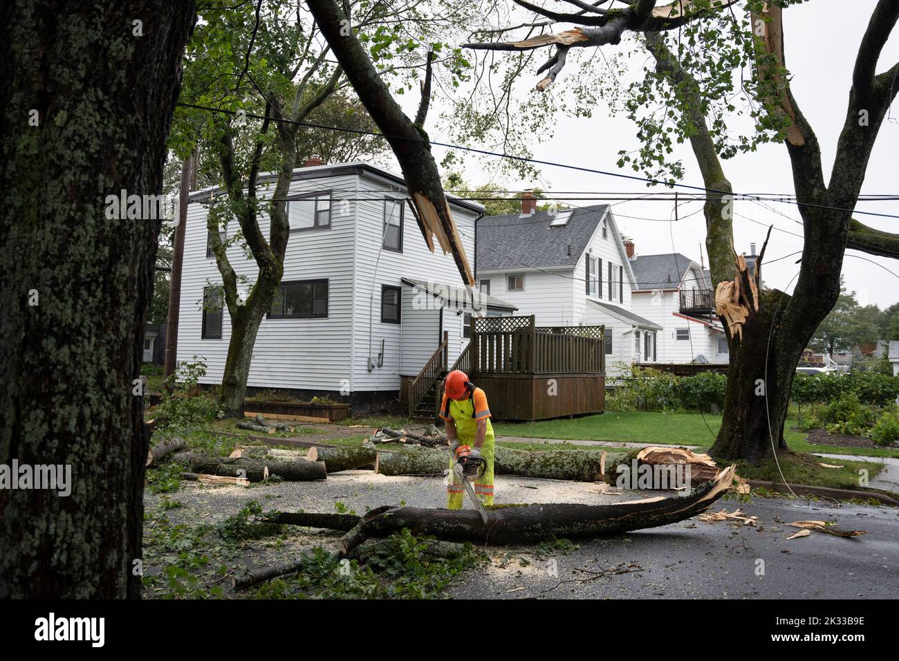 An arborist works to clear fallen trees and downed wires from damage ...