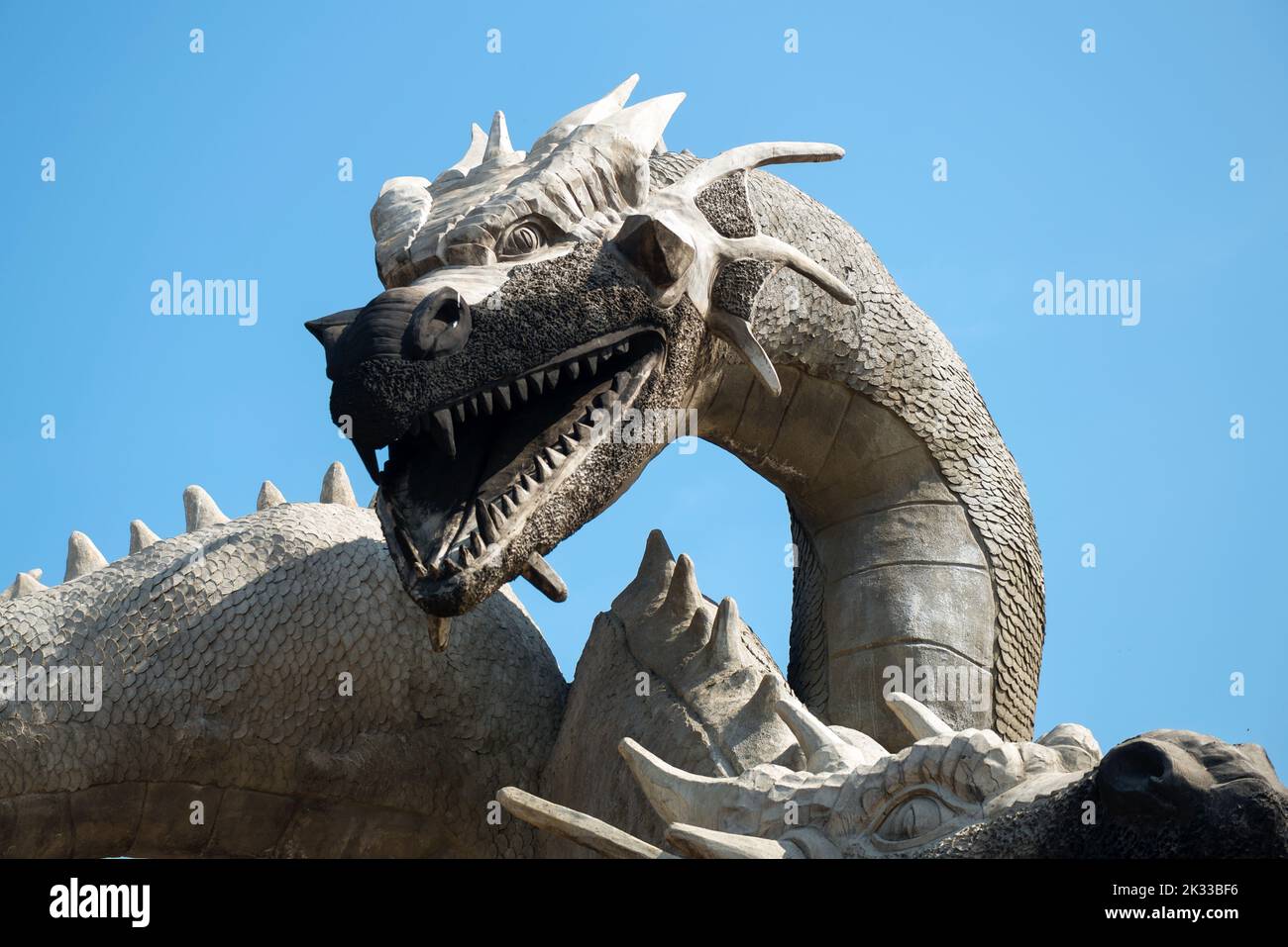 Real Three Headed Snake