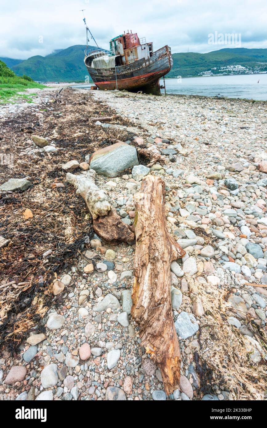 Driftwood on the stony Caol beach surrounding the stranded fishing ...