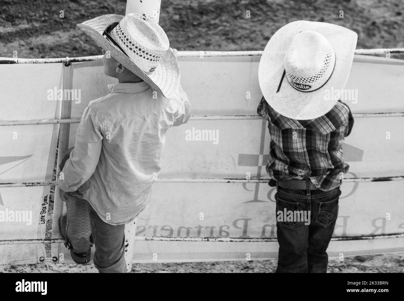 Rodeo Black and White Stock Photos & Images - Alamy
