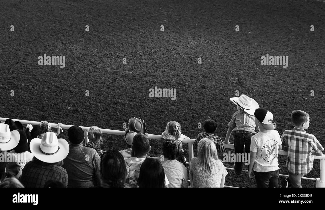 Rodeo bronc riding Black and White Stock Photos & Images - Alamy