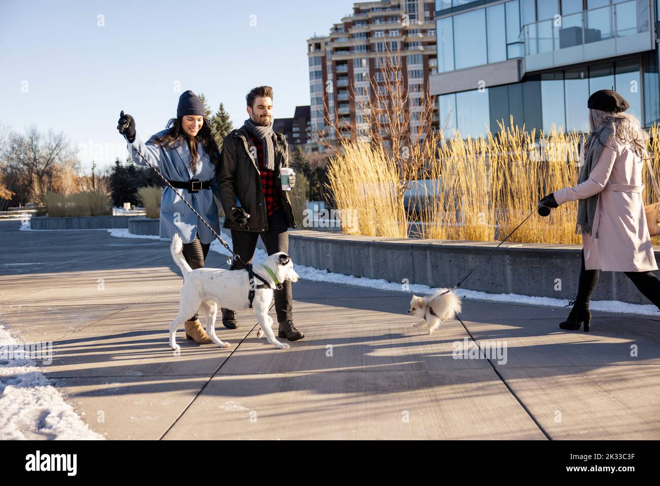 People walking dogs hi-res stock photography and images - Alamy
