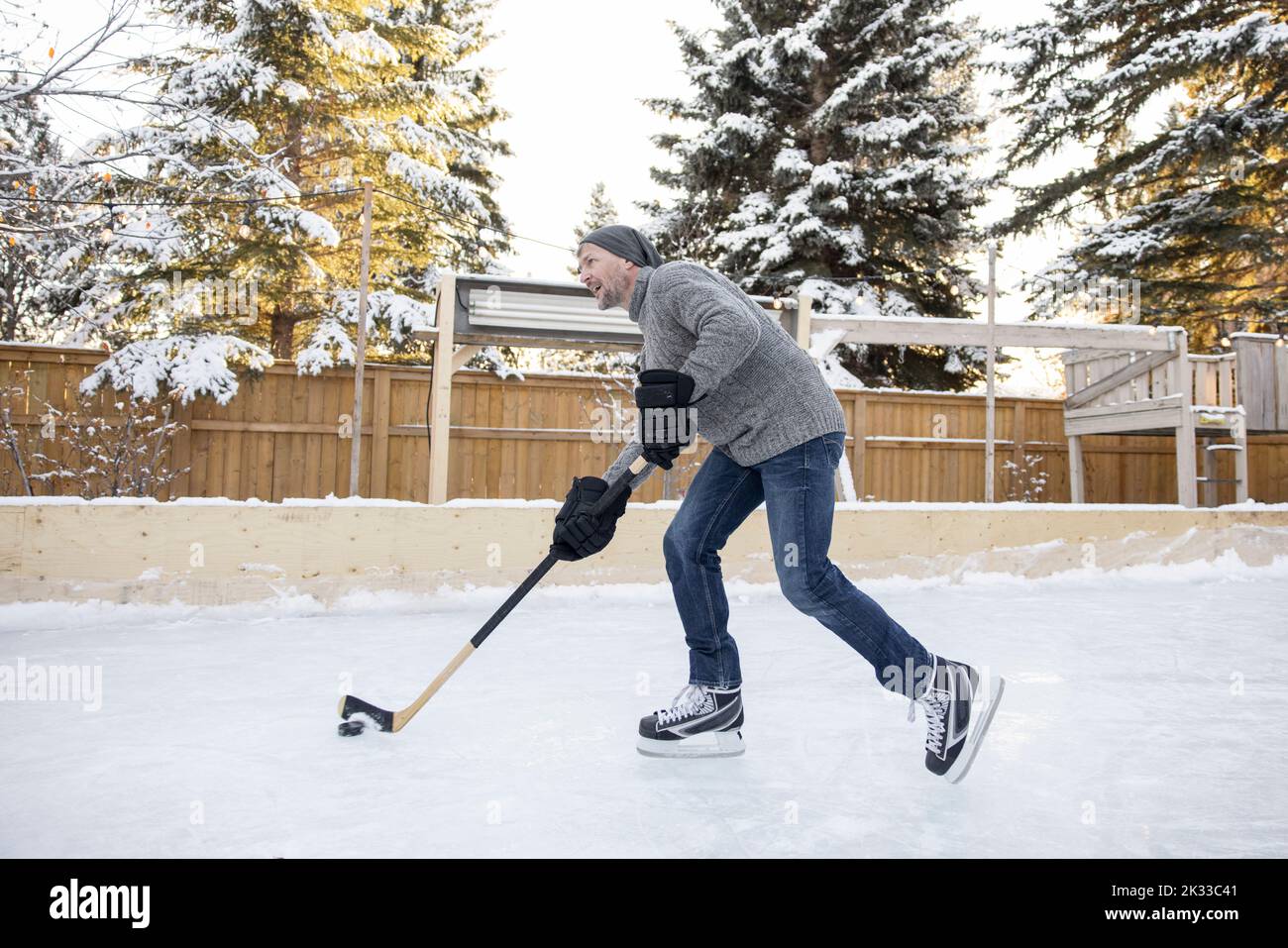 Playing ice hockey puck hi-res stock photography and images - Alamy