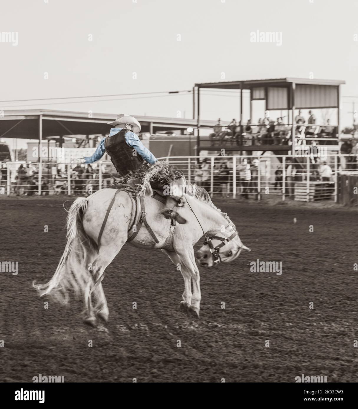 Cowboy riding horse rodeo town hi-res stock photography and images - Alamy