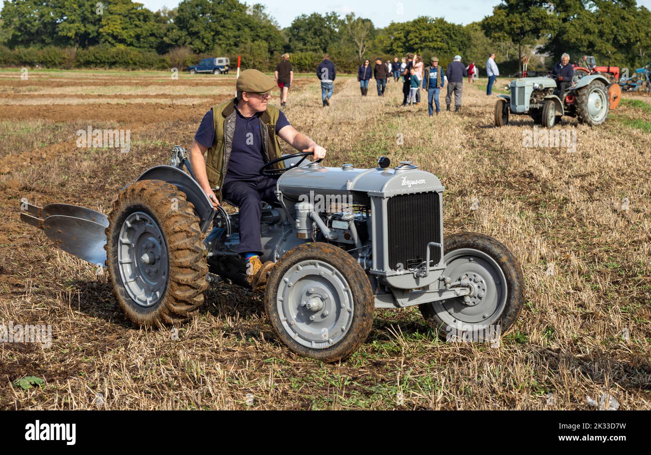 Vintage ferguson tractor hi-res stock photography and images - Alamy