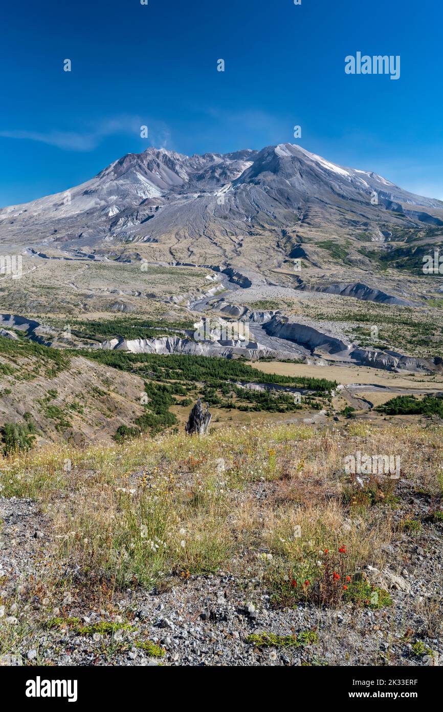 Scenic view over Mount St. Helens, Skamania County, Washington, USA ...