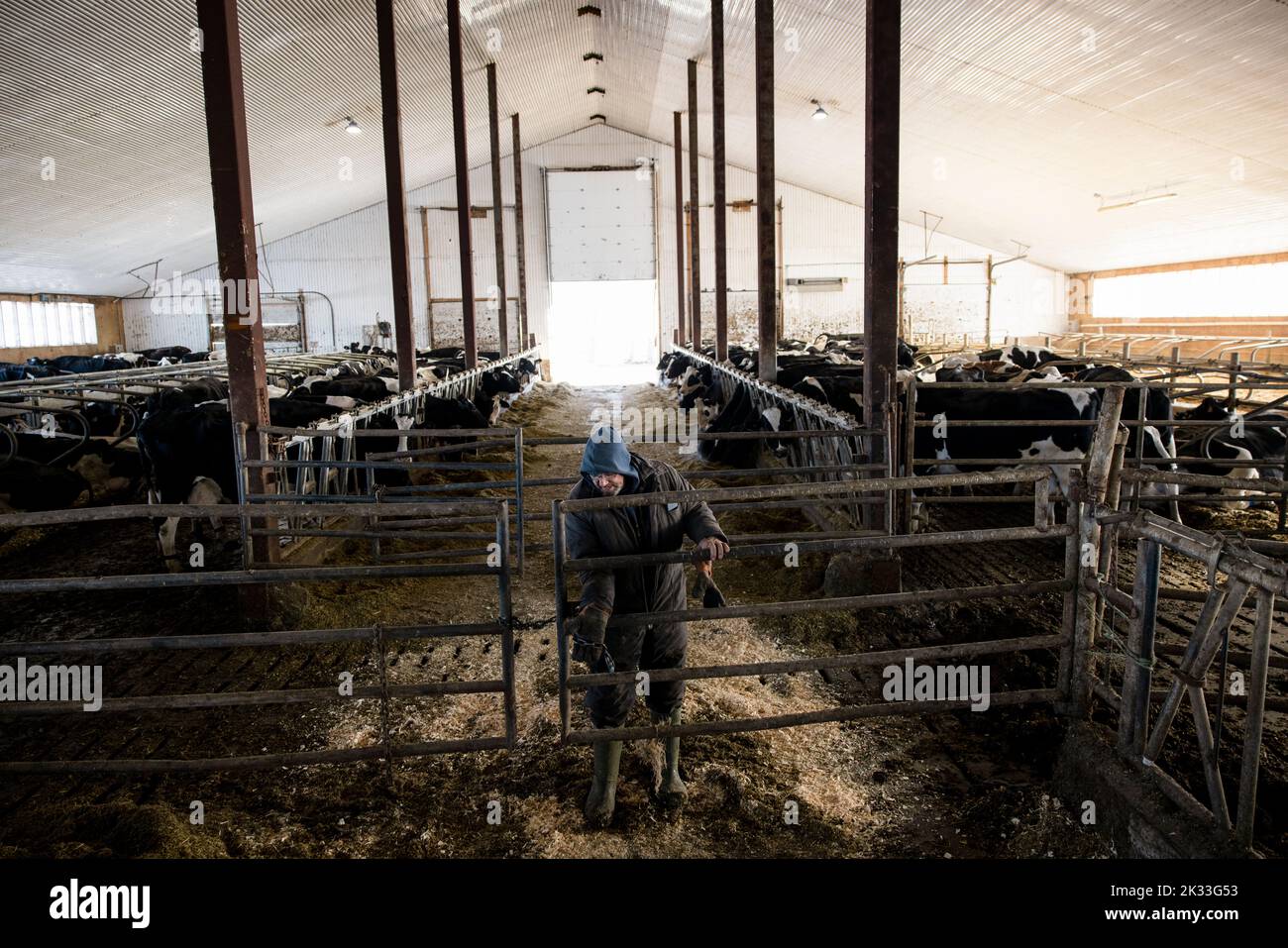 Farmer opening gate hi-res stock photography and images - Alamy