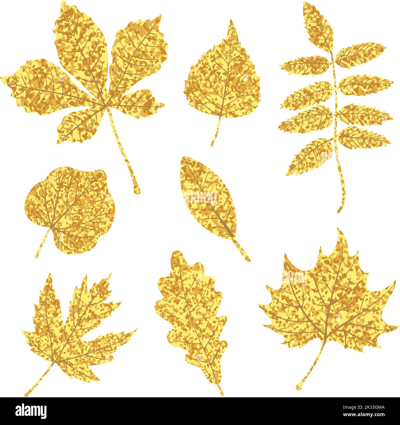Set of glittering golden leaves isolated on white. Vector illustration ...