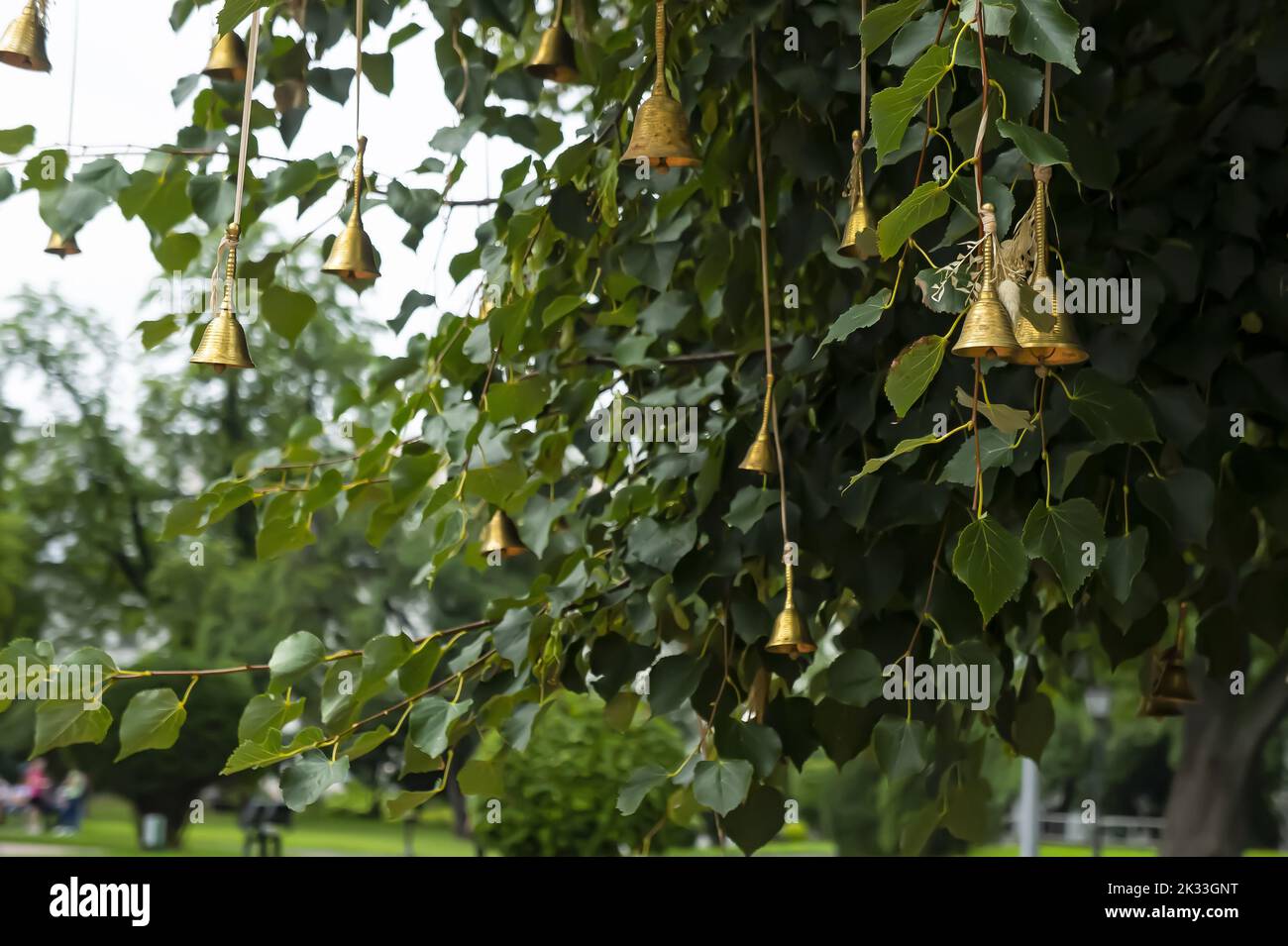 A cute little windbell hanging from a branch. The bells on the branches ...
