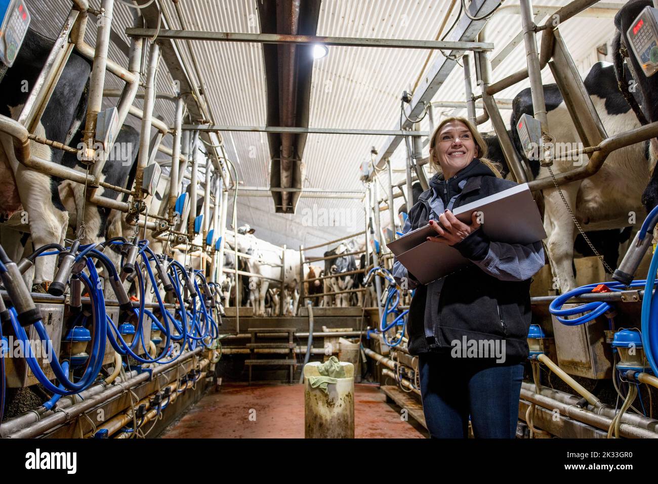 Female farmer working in milking station Stock Photo - Alamy
