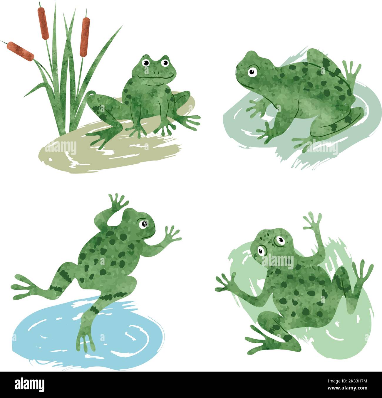 Frog Jumping Into Pond Cartoon