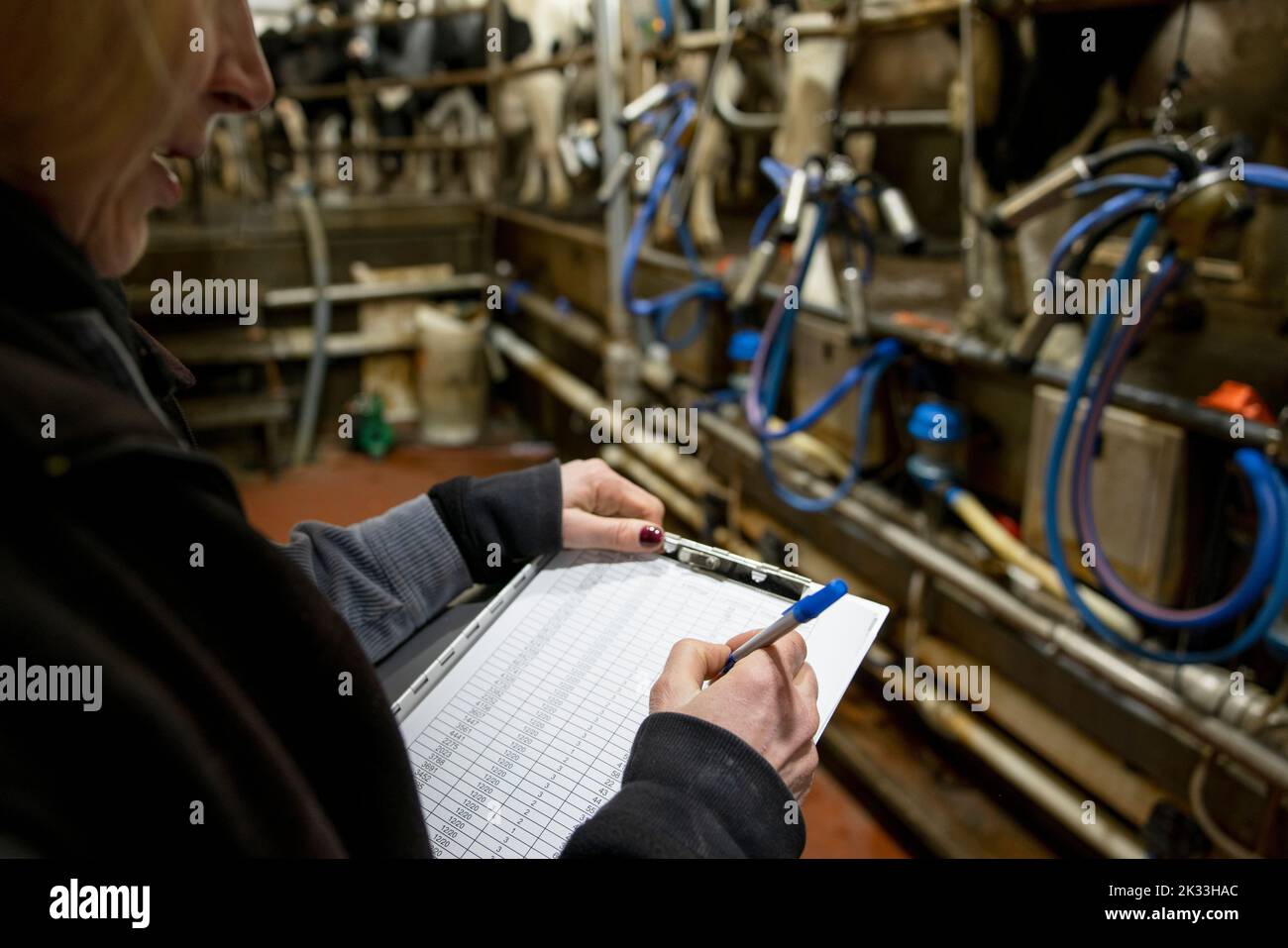 Female notes hi-res stock photography and images - Alamy