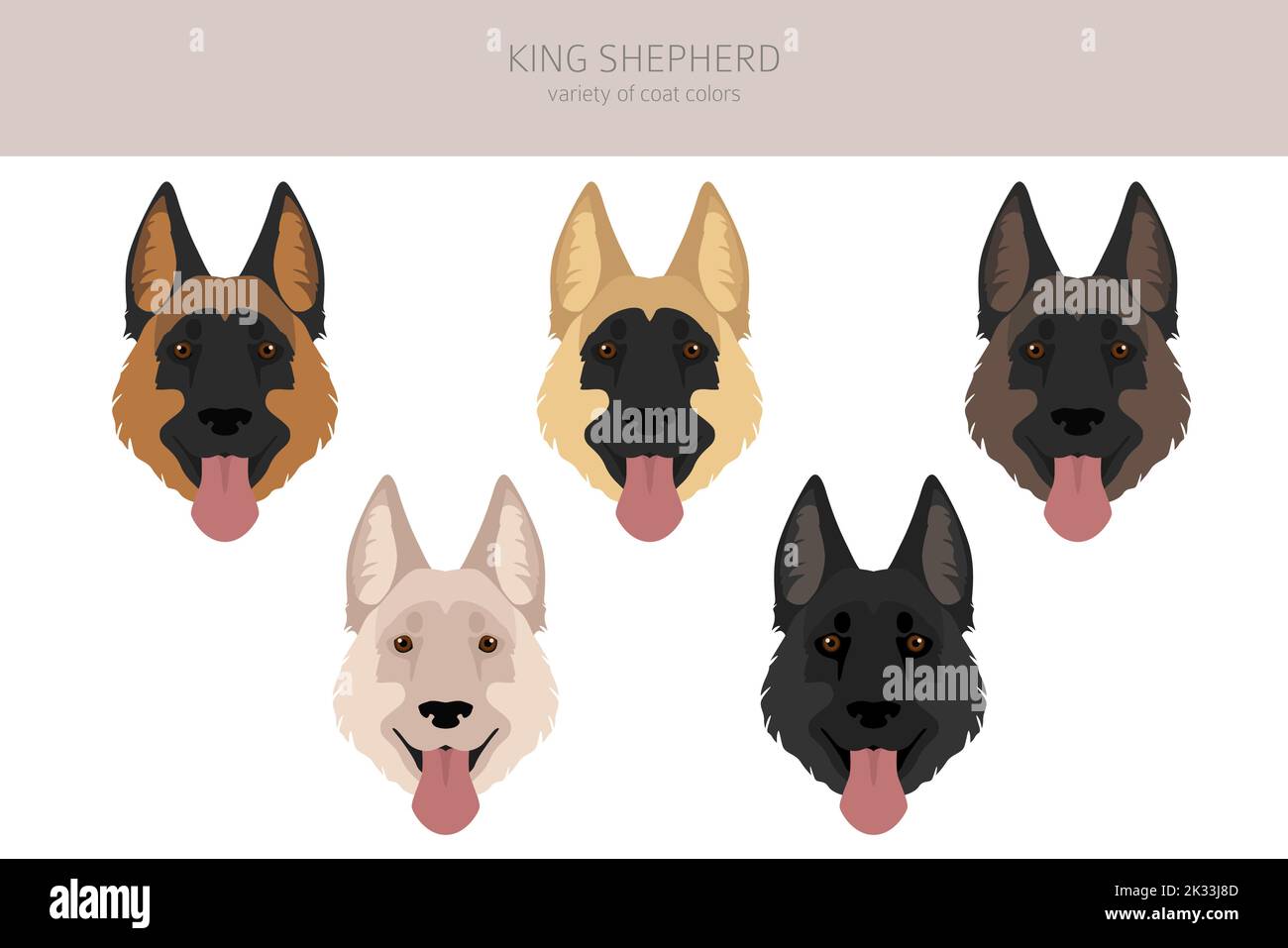 King Shepherd. Variety of German shepherd dog. clipart. Different coat ...
