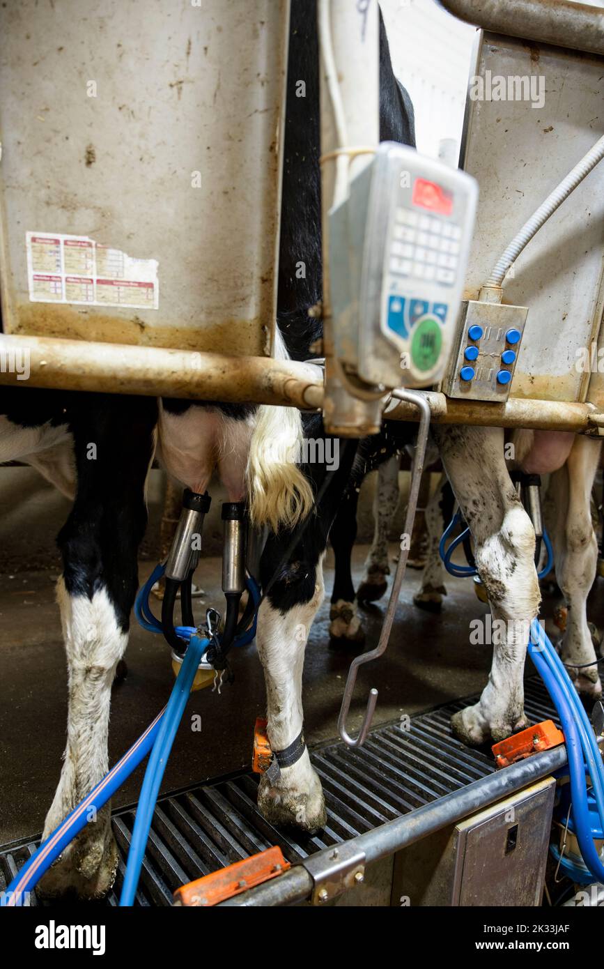 Family farm machine hi-res stock photography and images - Alamy