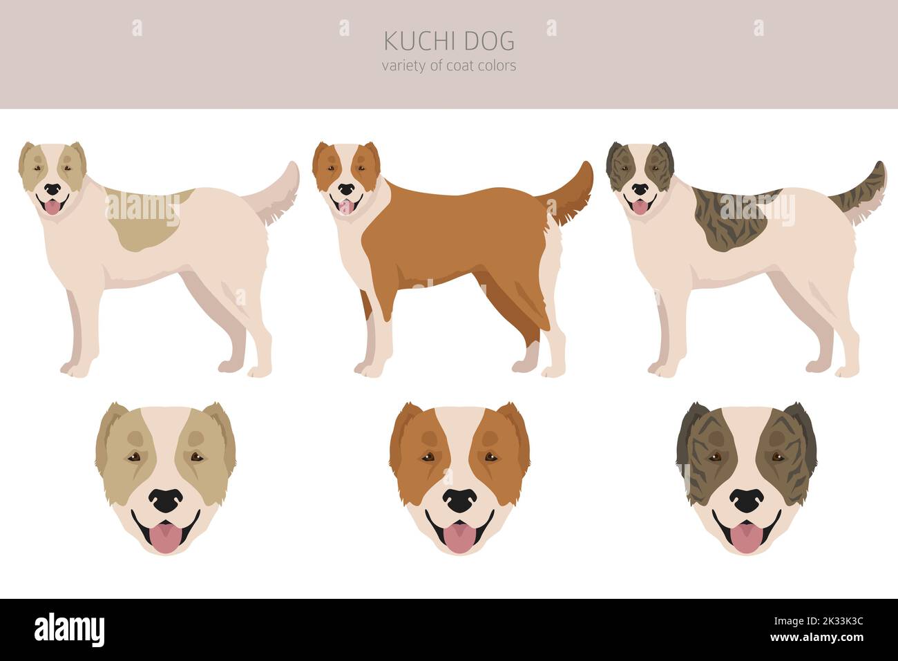 Kuchi afghanistan Stock Vector Images - Alamy