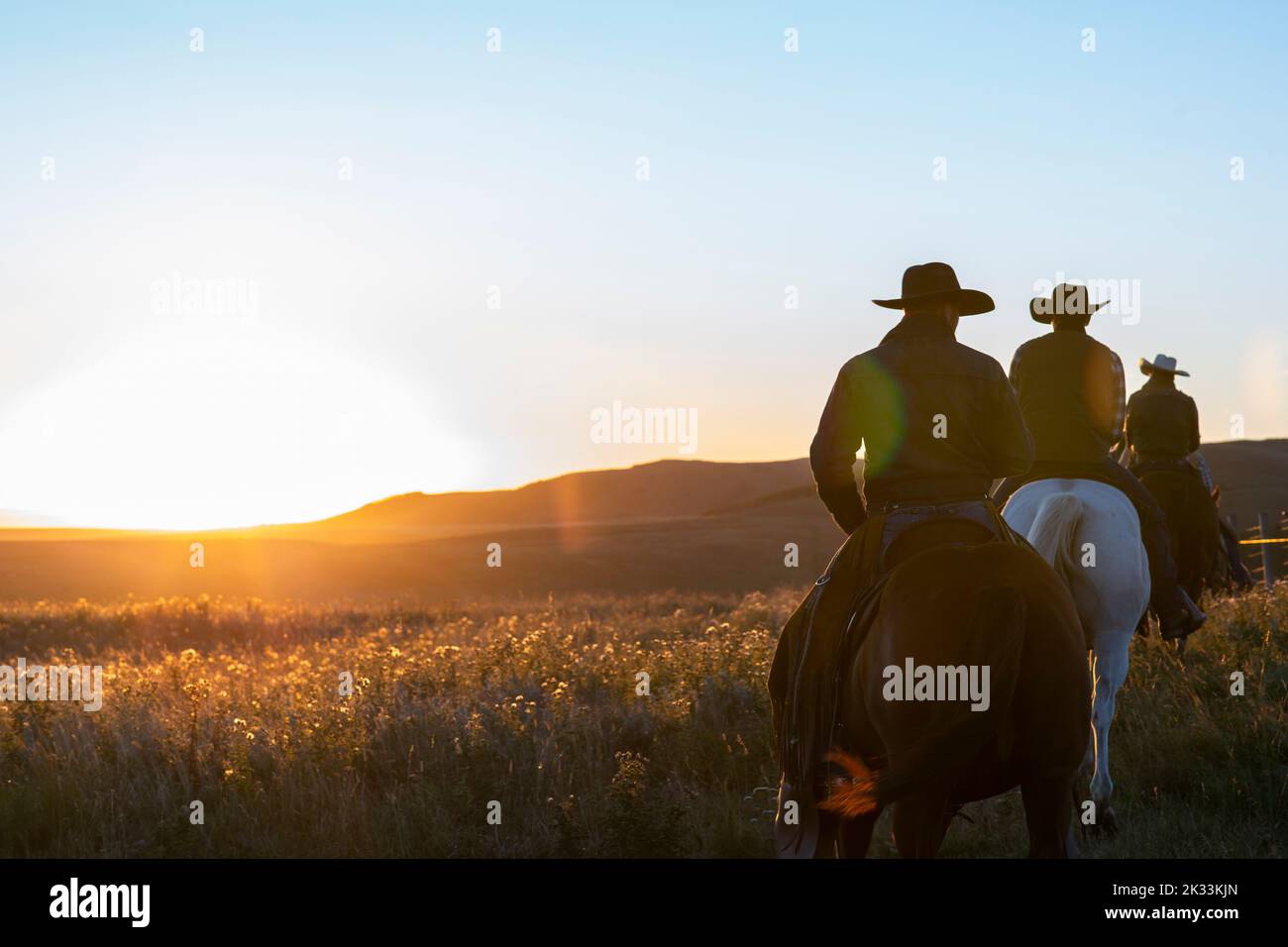 Cowboys ride horses hi-res stock photography and images - Alamy
