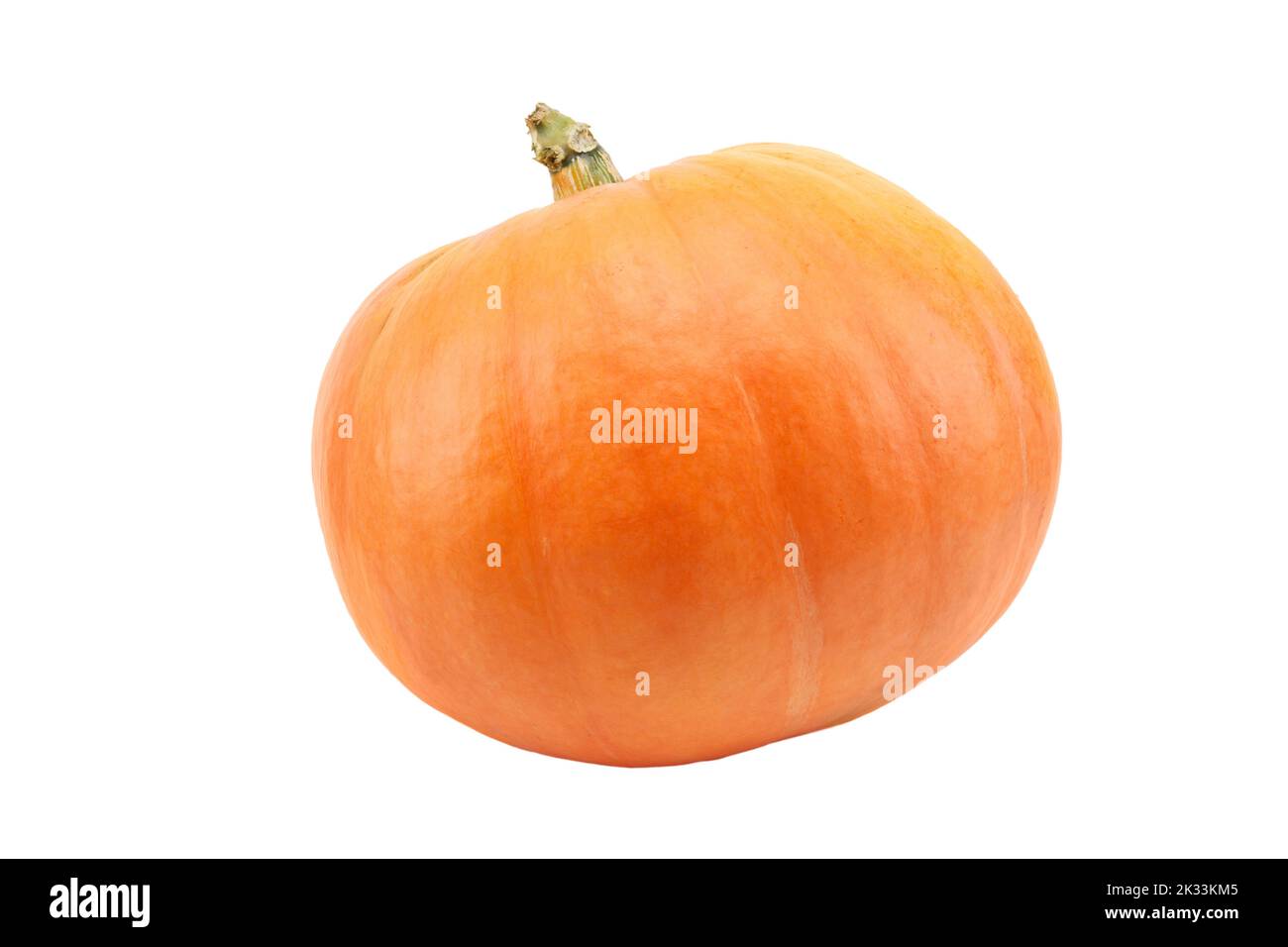 Single fresh orange miniature pumpkin isolated on white background ...