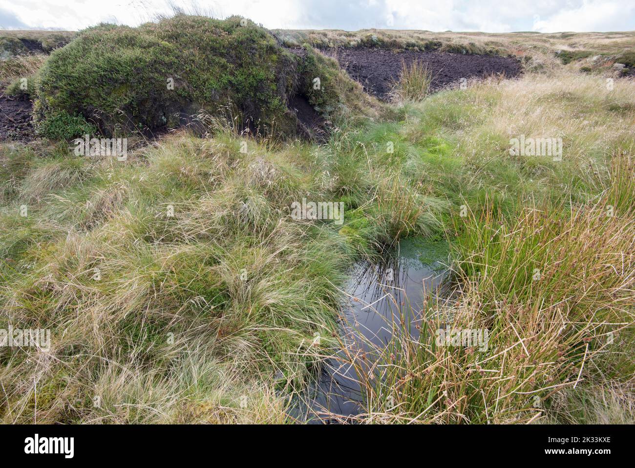 Fountains Fell is a mountain in the Yorkshire Dales.The main summit ...