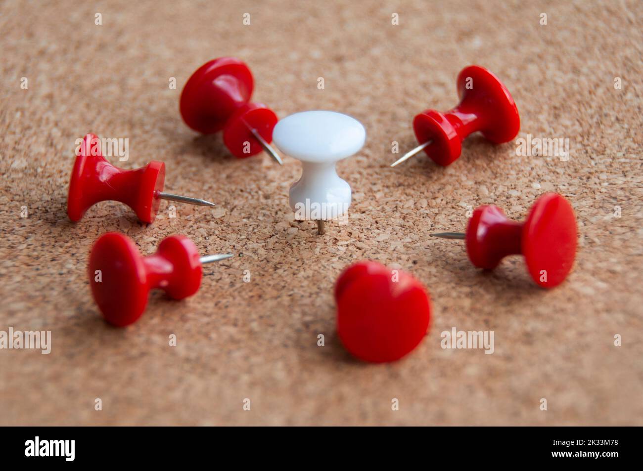 Red push pins targeting on white push pin. Harassment and ...