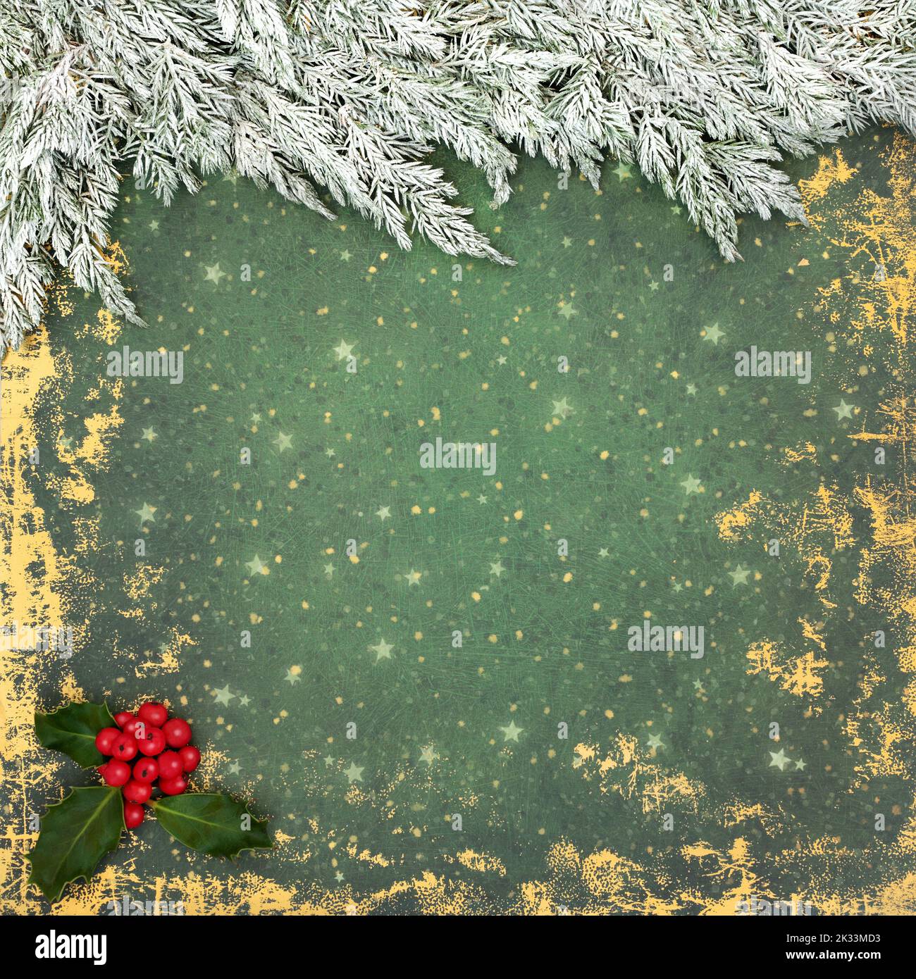 Christmas Winter and New Year snow covered fir with holly background ...