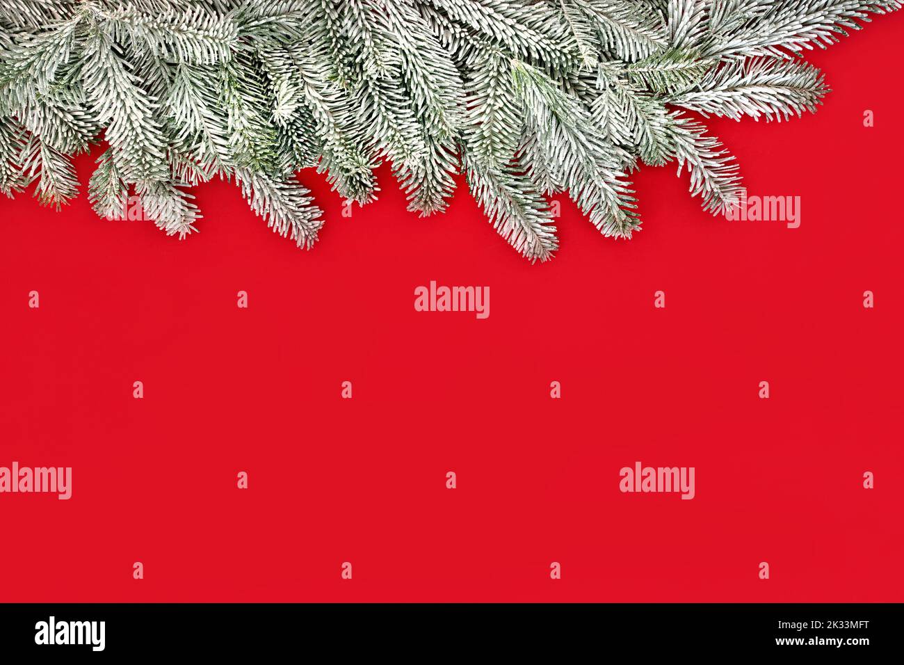 Christmas winter fir and snow red background border composition ...