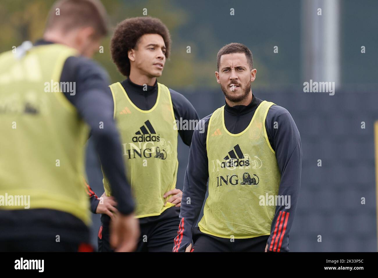 Belgium's Axel Witsel and Belgium's Eden Hazard pictured during a ...