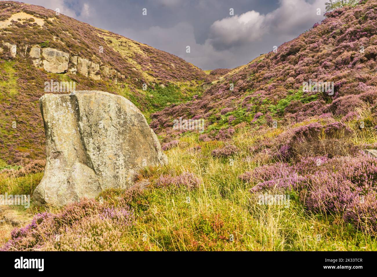 Rocks and Purple Heather at the head of Rosedale, North Yorkshire Moors ...