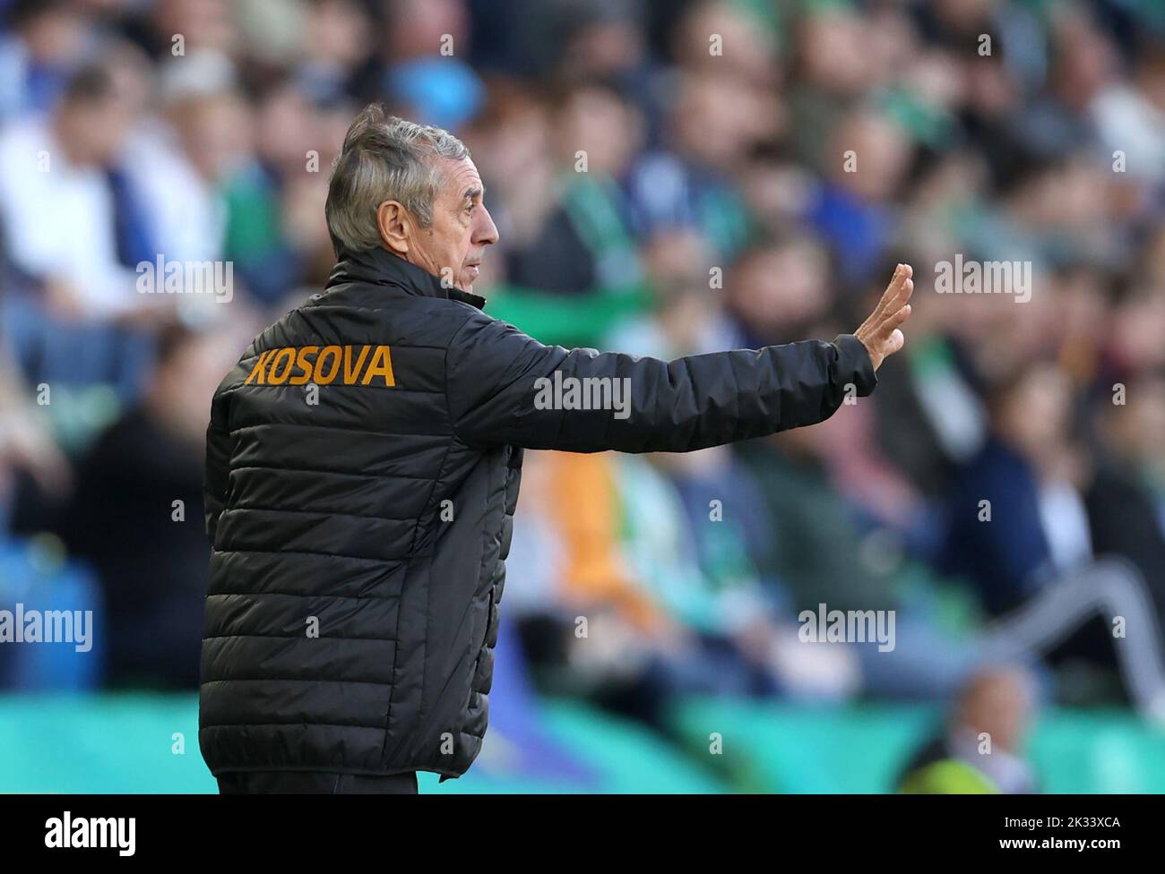 Alain giresse 2022 hi-res stock photography and images - Alamy