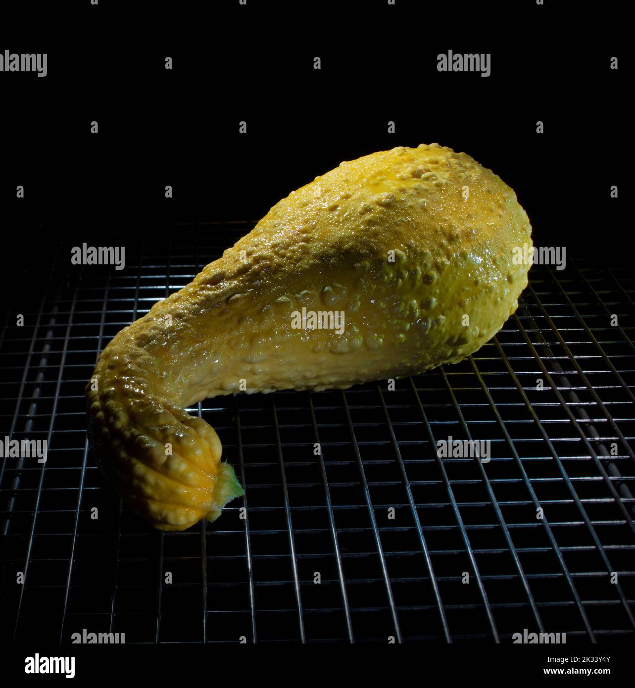 Squash fresh from the garden on a metal grate Stock Photo - Alamy
