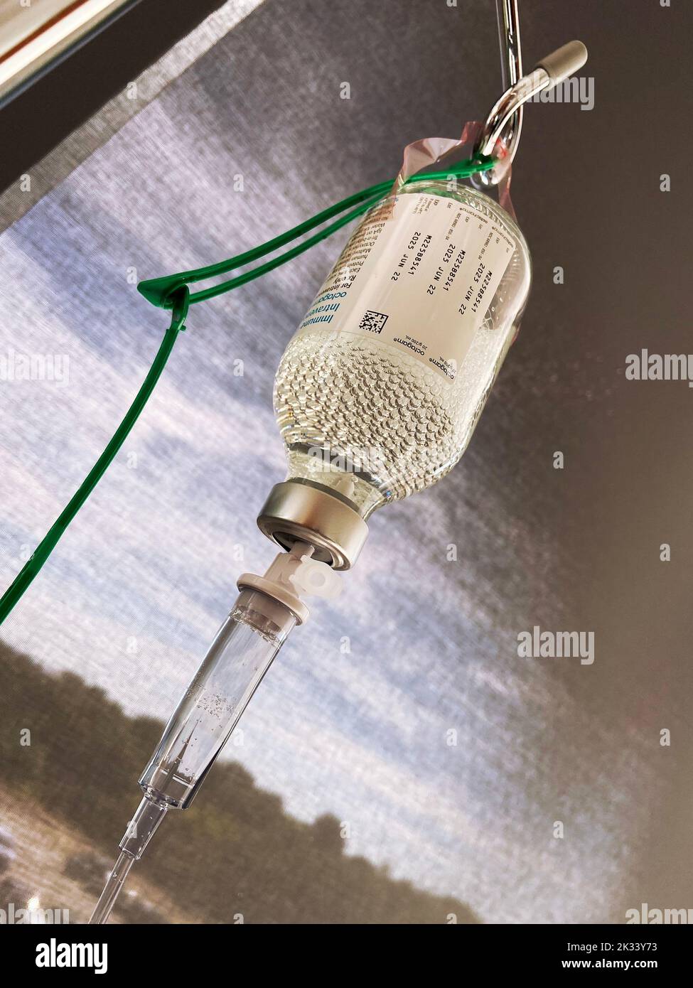 Intravenous Immunoglobulin Ivig Therapy Intravenous Immunoglobulin