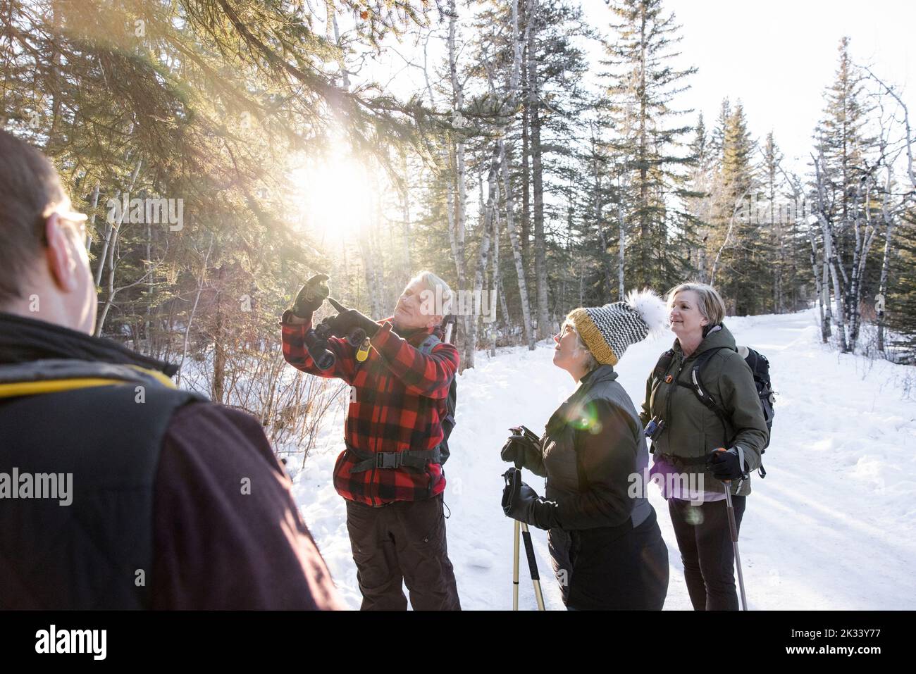 The forest guide hi-res stock photography and images - Alamy