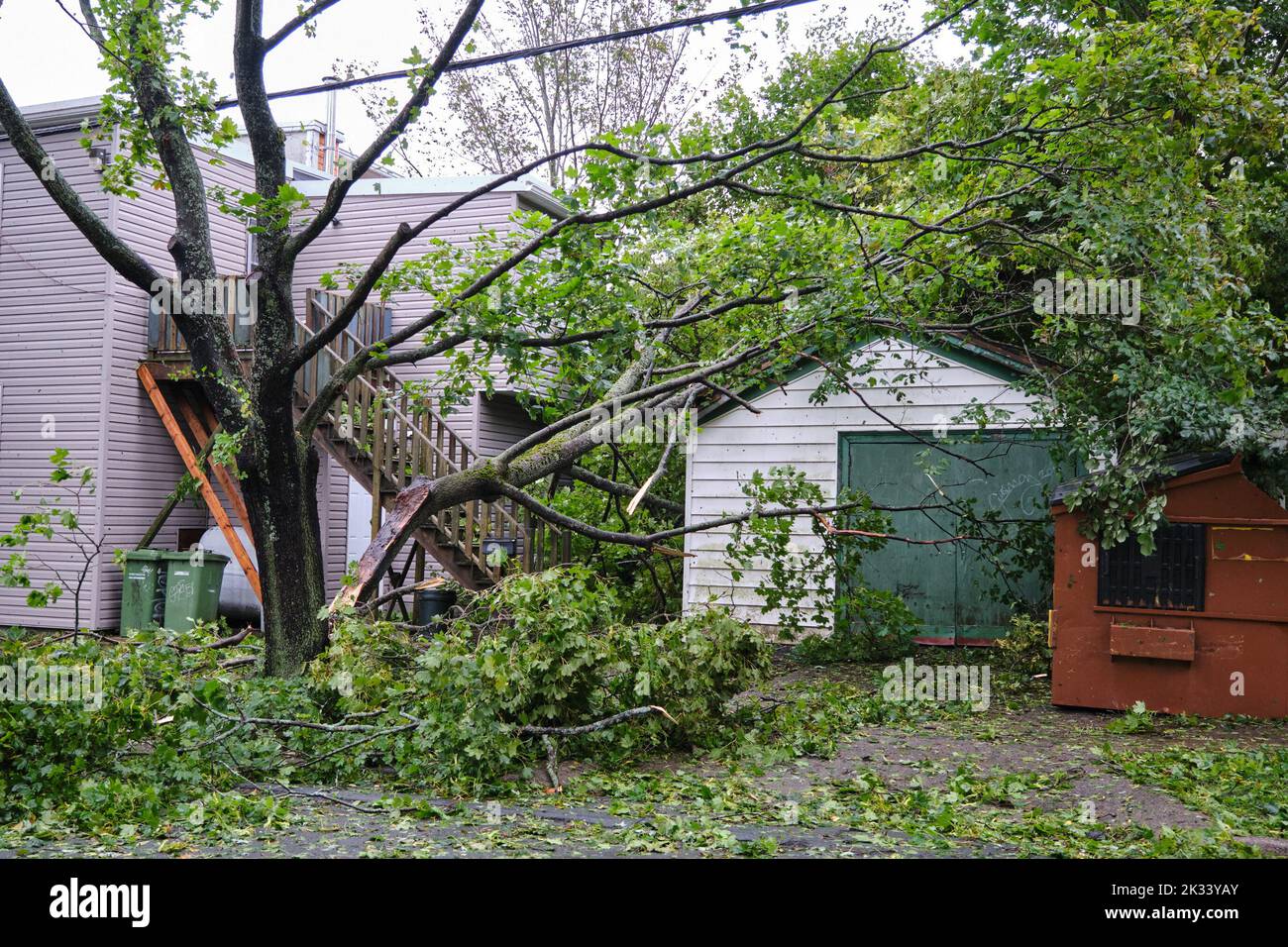 Halifax, Nova Scotia, Canada. September 24th, 2022. Tree damages all ...