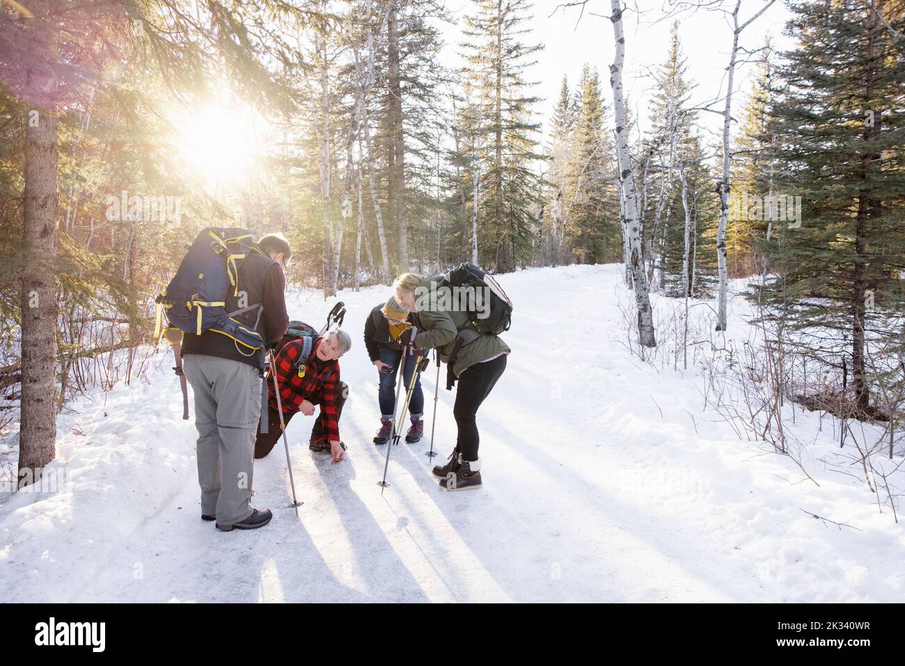 The forest guide hi-res stock photography and images - Alamy
