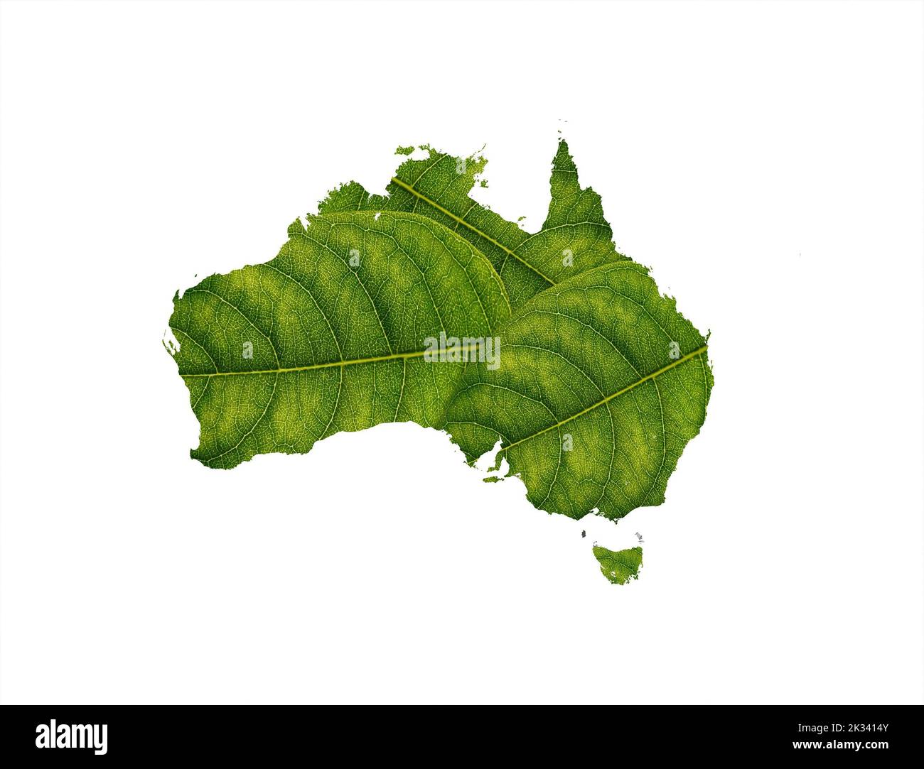 An Australia map made of green leaves, concept ecology Map green leaf ...