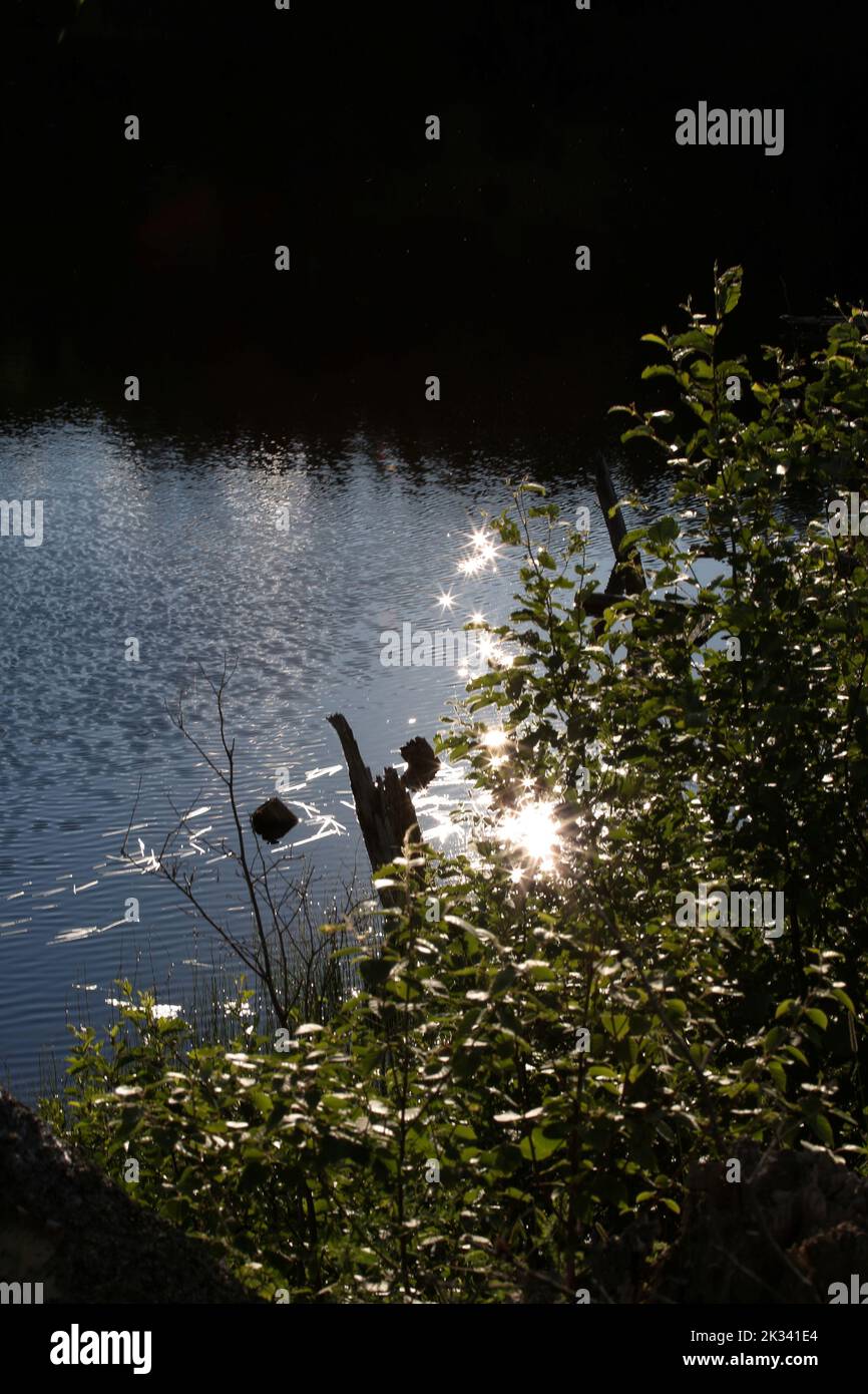 Chapleau Crown Game Preserve / Chapleau Crown Game Preserve Stock Photo ...