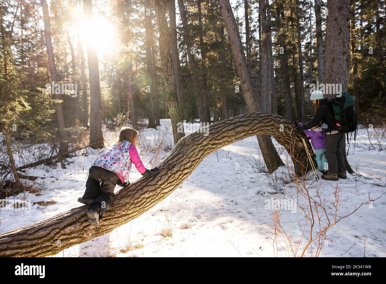 Girl climb tree hi-res stock photography and images - Alamy
