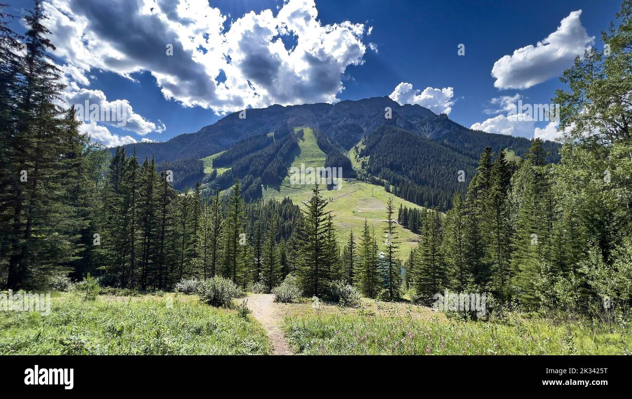 The view of Mount Norquay in summer. Banff National Park, Alberta ...