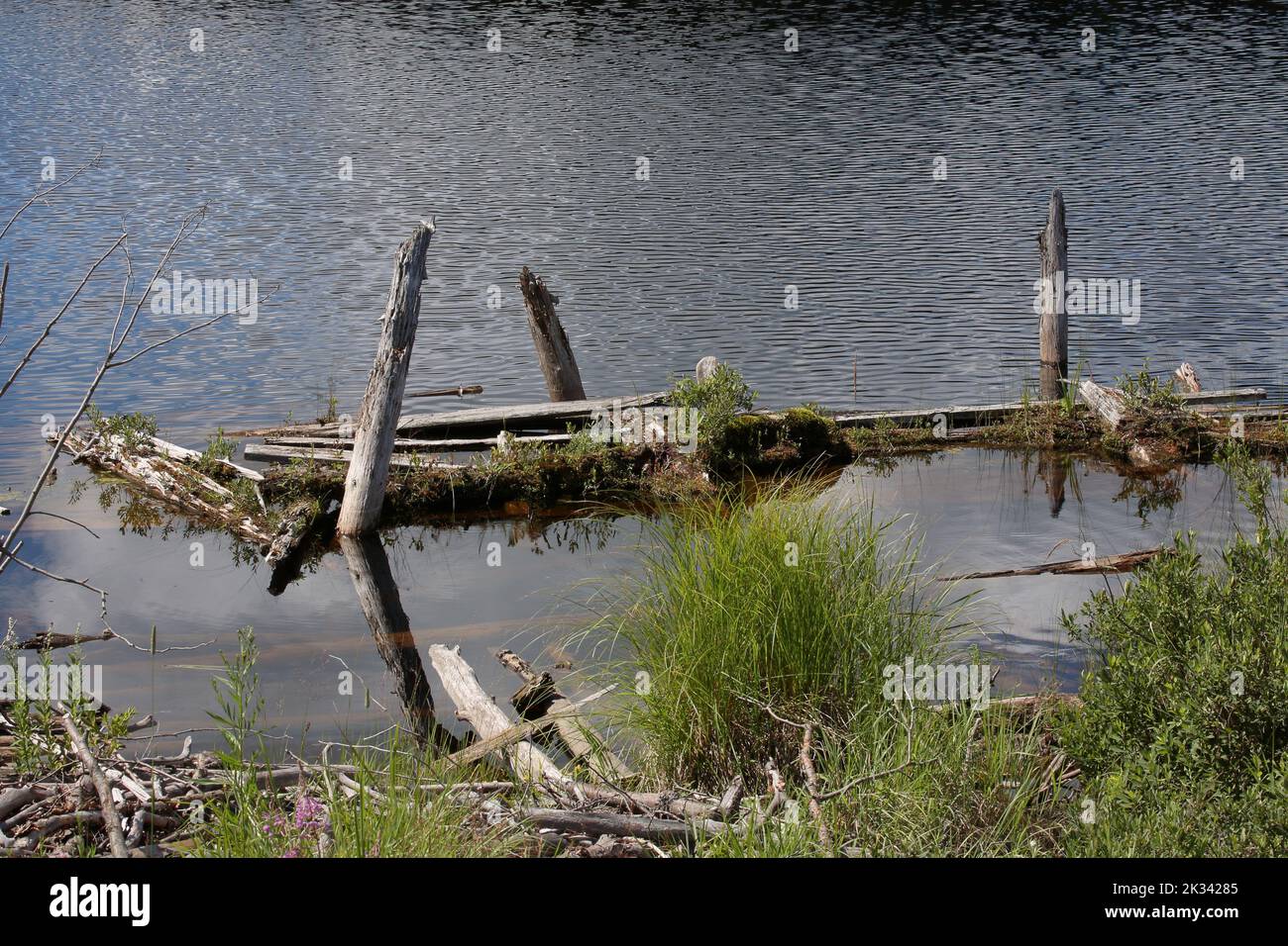 Chapleau Crown Game Preserve / Chapleau Crown Game Preserve Stock Photo ...