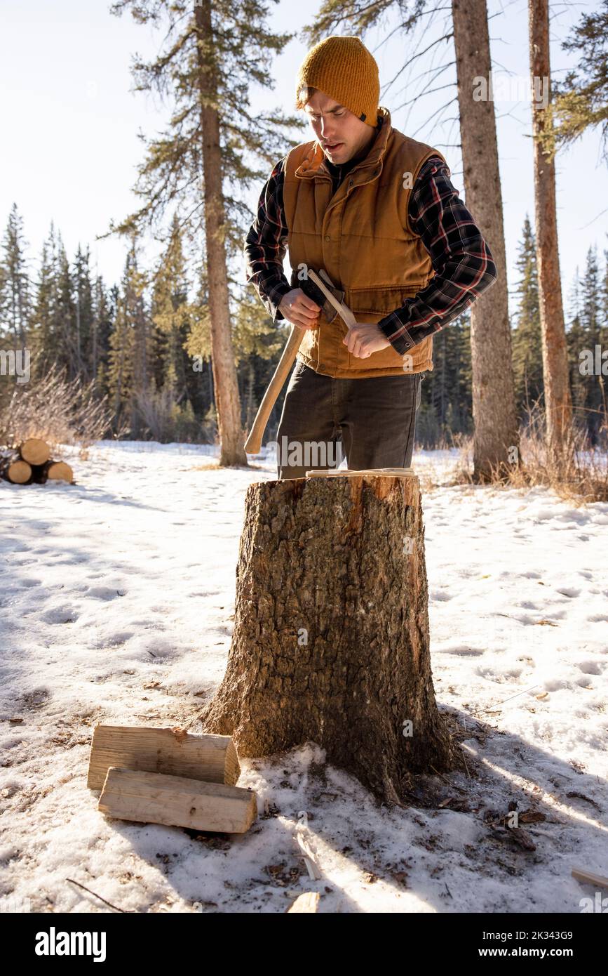 Chopping wood hi-res stock photography and images - Alamy