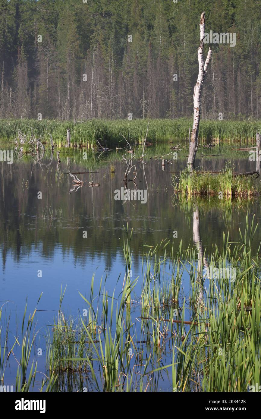 Chapleau river hi-res stock photography and images - Alamy