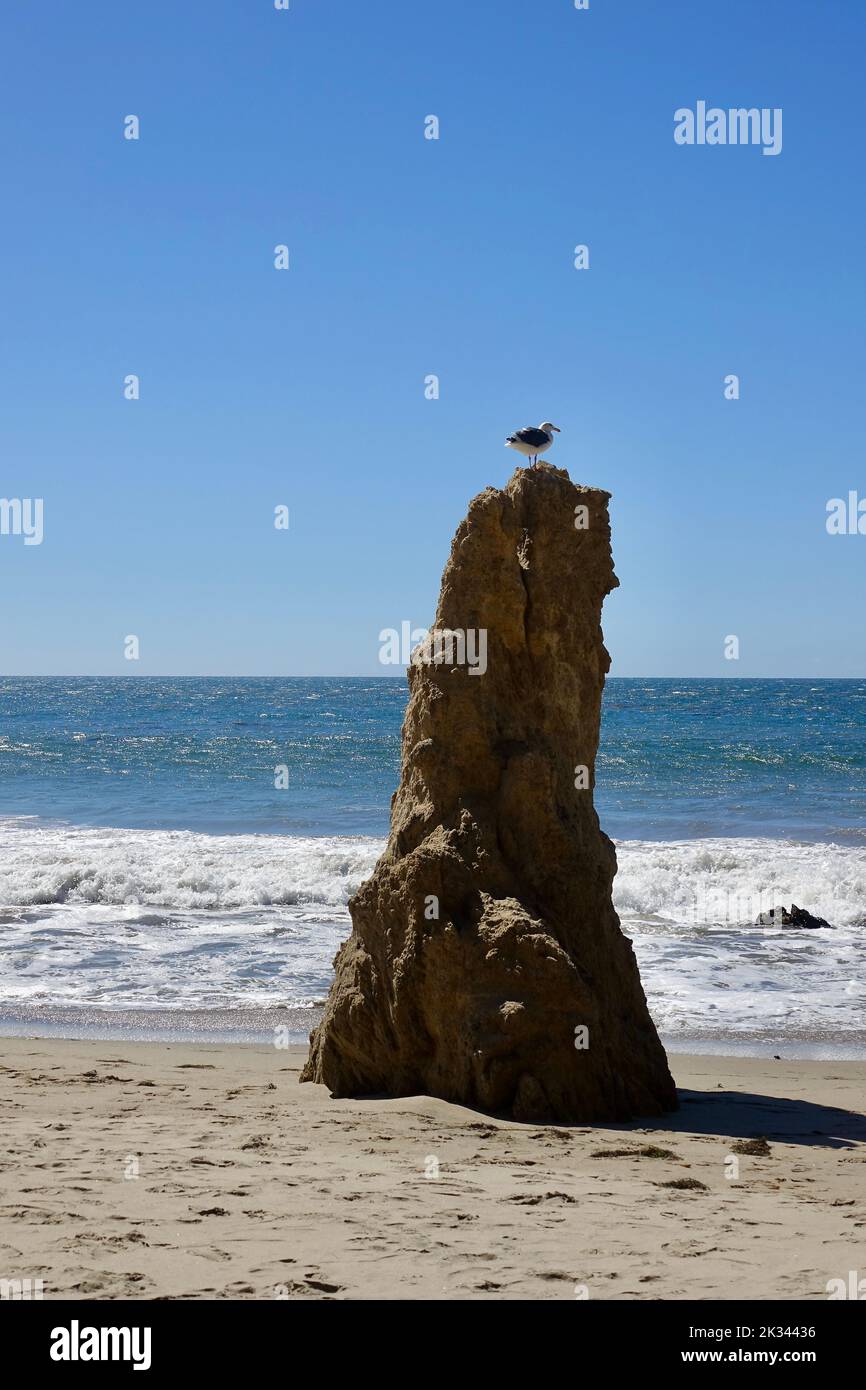 Formation marine hi-res stock photography and images - Alamy